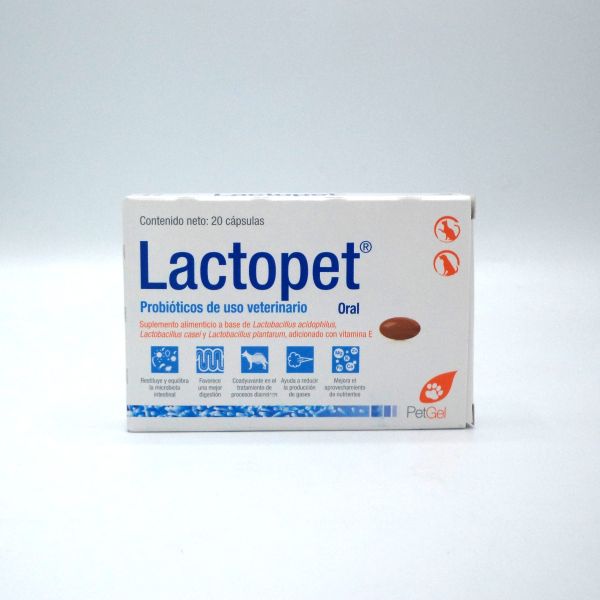Farmacia